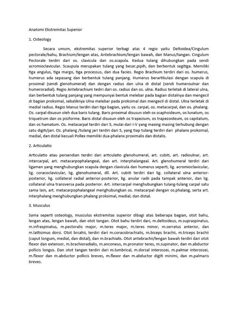 Anatomi Ekstremitas Superior | PDF