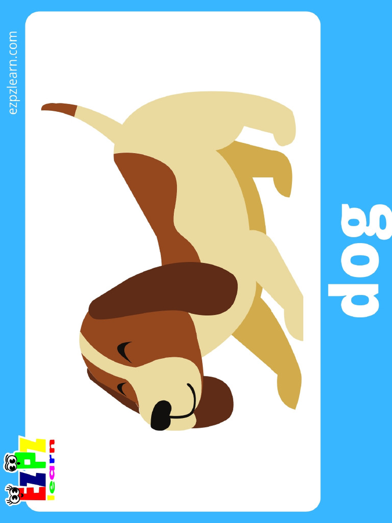 Pets Flashcards Use Online or Download PDF File | PDF