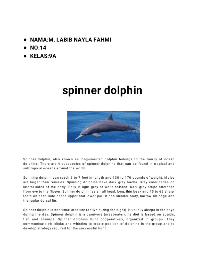 Spinner Dolphins: A Quick Guide | PDF | Language Arts & Discipline