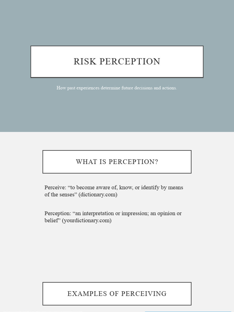 Risk Perception | PDF | Risk | Perception