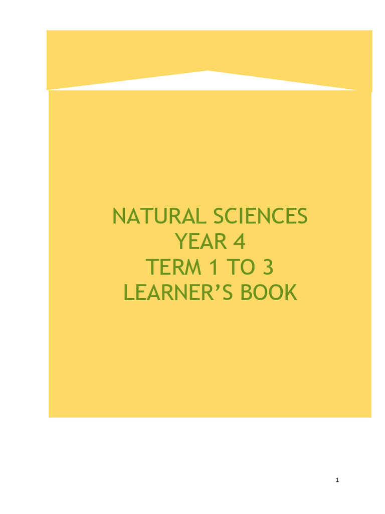 NS Year 4 Term 1 To 3 Learner's Book | PDF | Sexually Transmitted ...