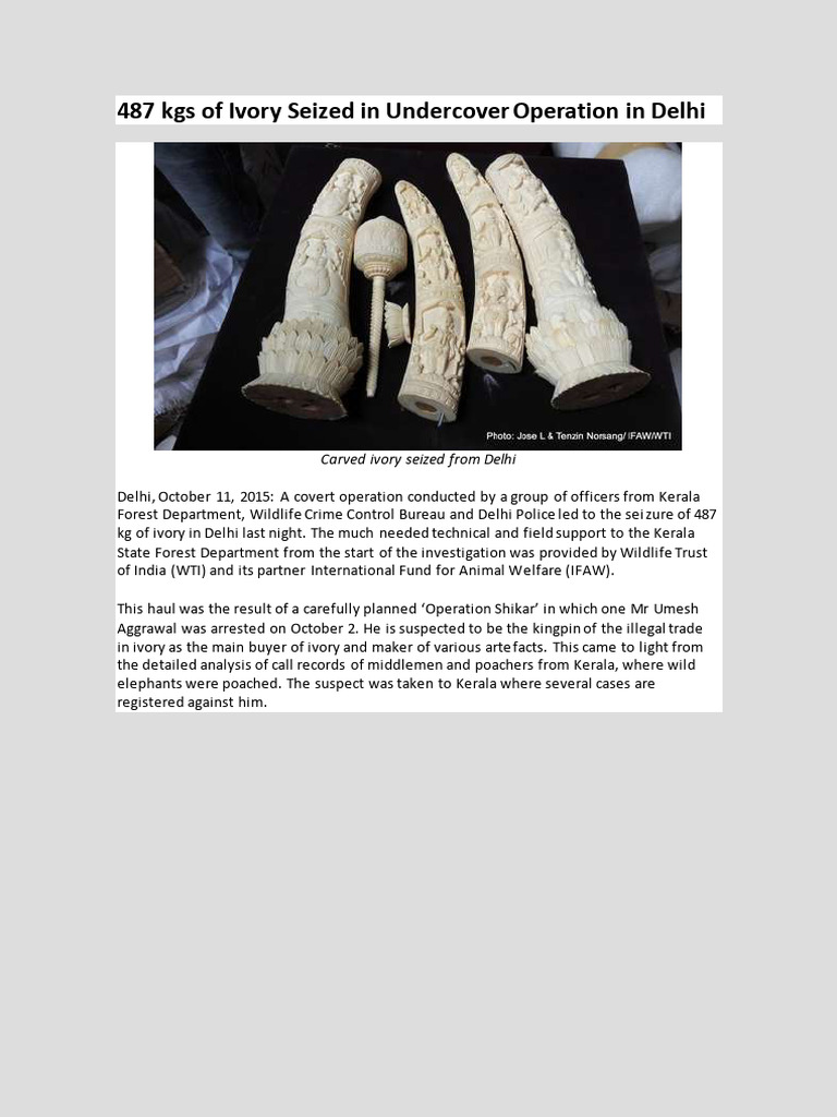 487 Kgs of Ivory Seized in Undercover Operation in Delhi - Wildlife ...