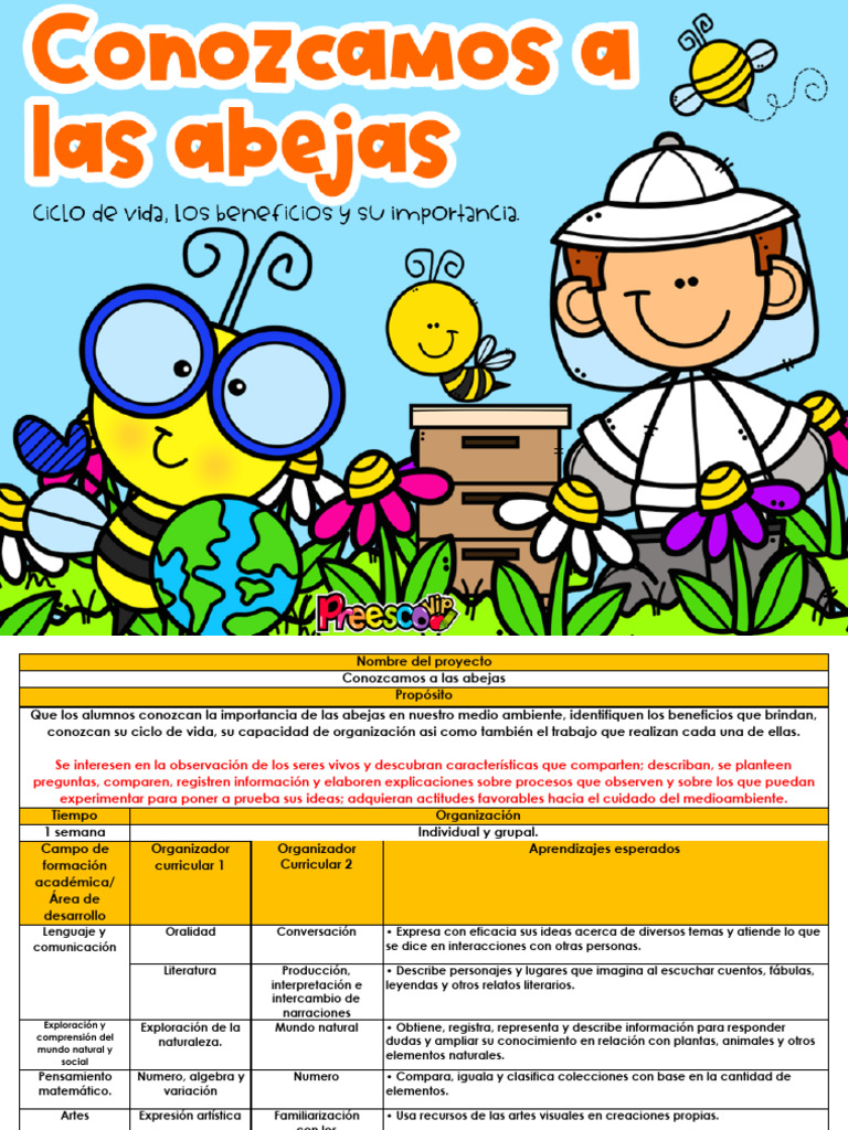 Plan Conozcamos A Las Abejas | PDF | Apicultura | Evaluación