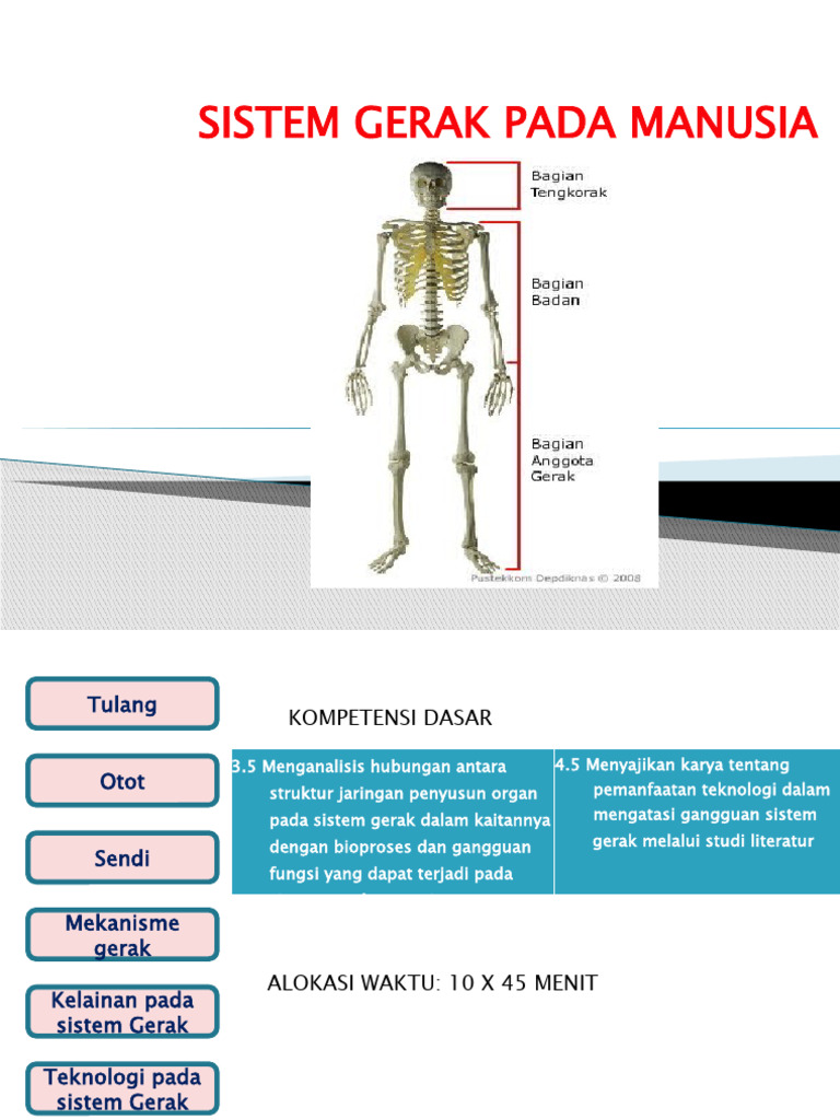 Sistem Gerak Manusia: Otot, Tulang, dan Sendi | PDF | Kesehatan ...