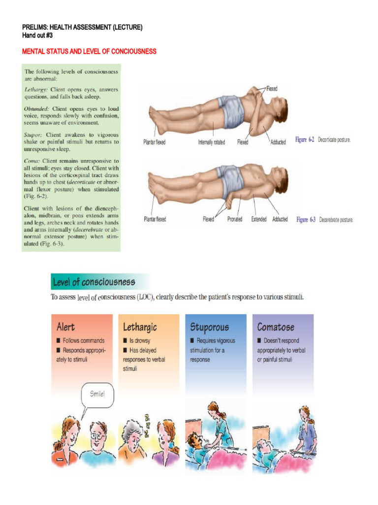 Prelims Handout Week 3 & 4 | PDF | Headache | Skull Prelims Handout Week 3 & 4 | PDF | Headache | Skull