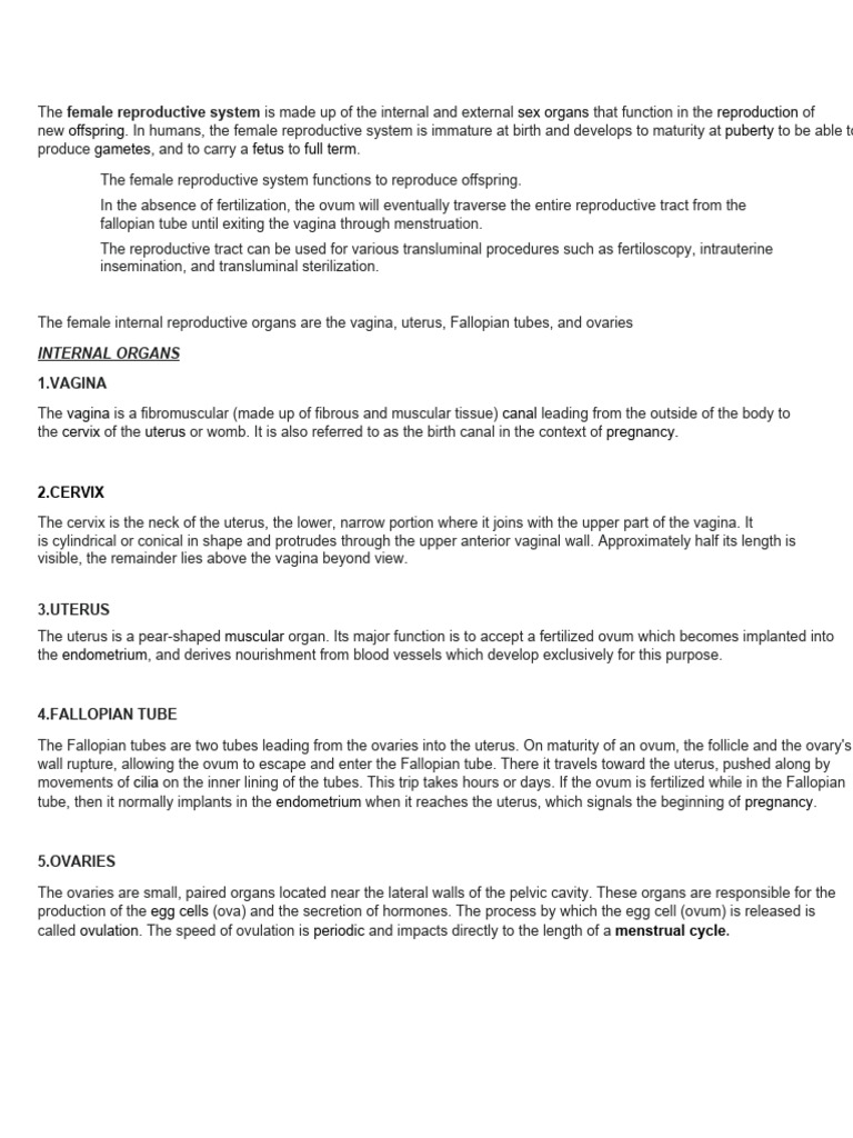 Female Reproductive | PDF | Uterus | Mammal Female Reproductive System