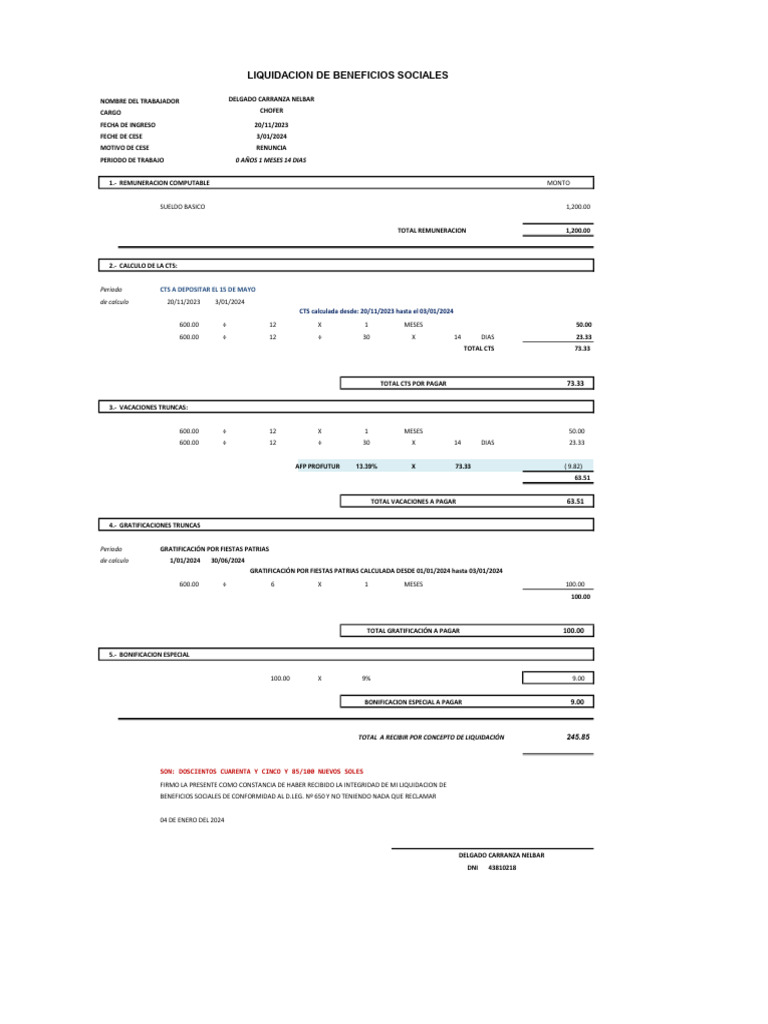 Liquidacion BBSS - Delgado Carranza | PDF | Servicios financieros | Pensión