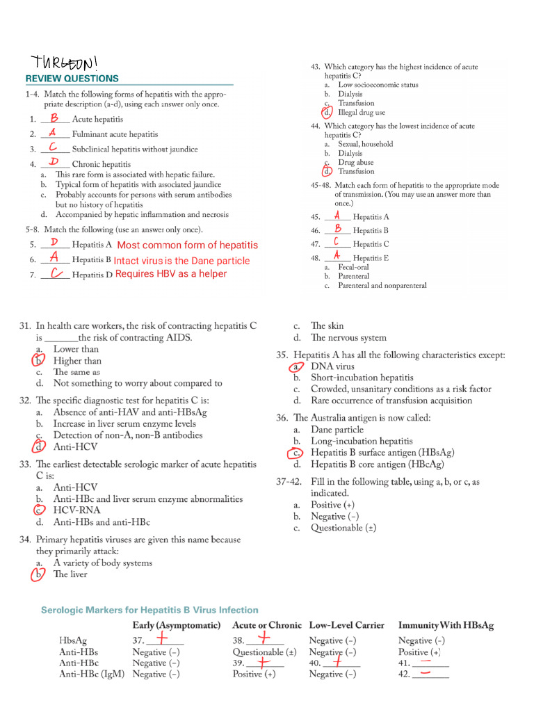 Hepatitis Compiled Study Questions | PDF