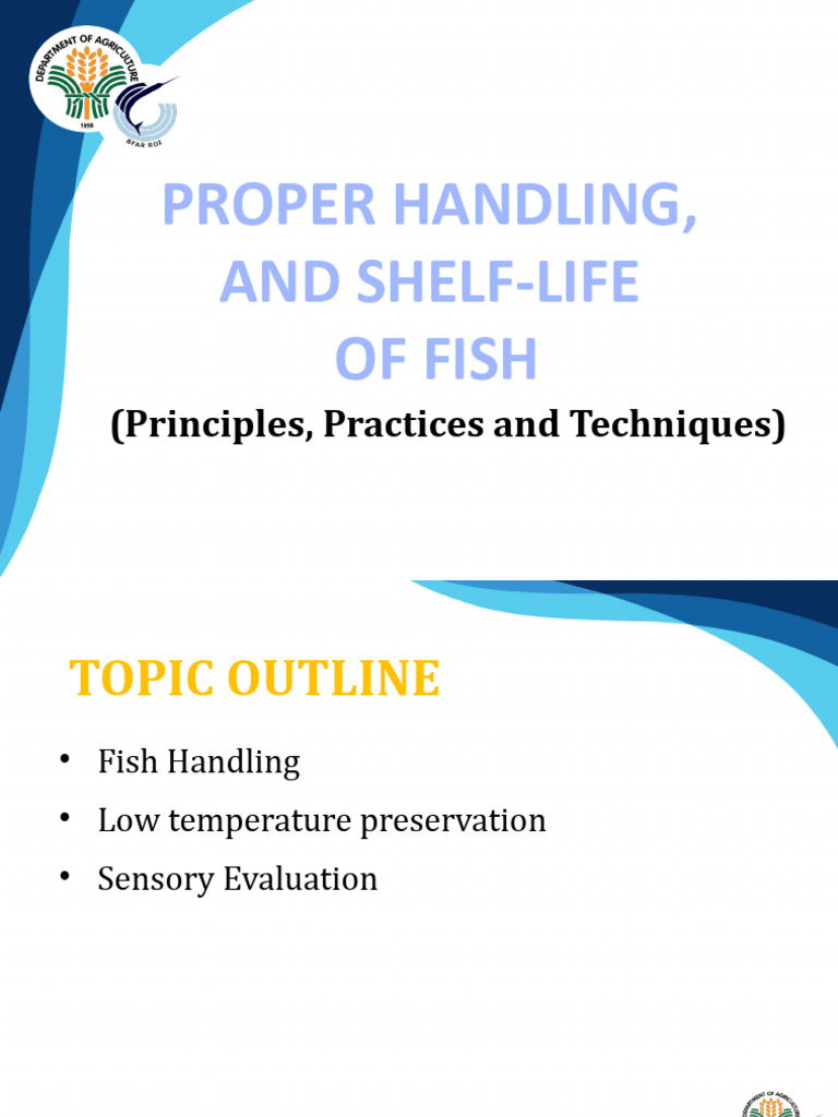 Shelf Life | PDF | Decomposition | Ice
