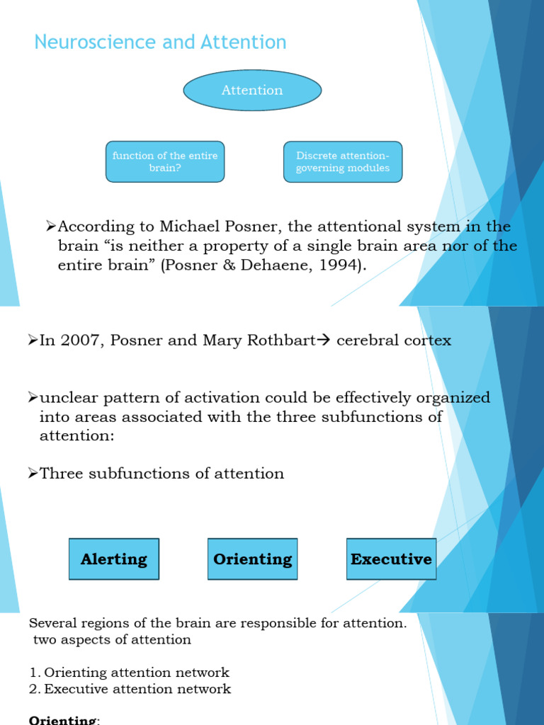 Neuroscience of Attention Networks | PDF | Attention | Parietal Lobe