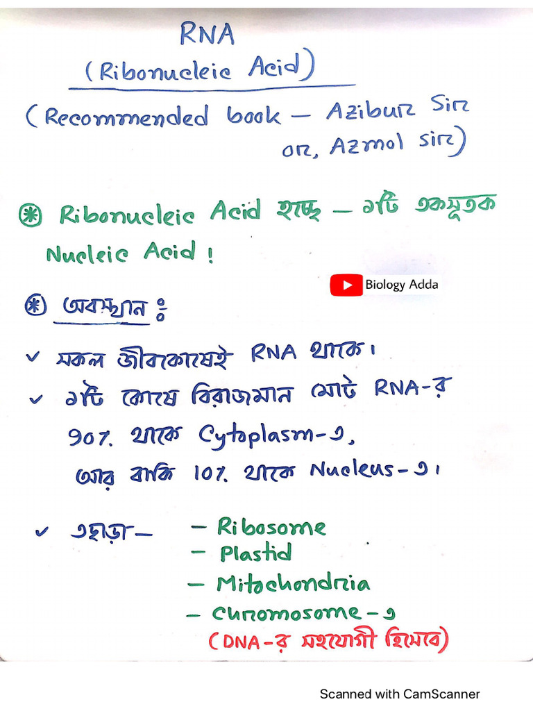 Biology Adda - Structure and Types of RNA | PDF