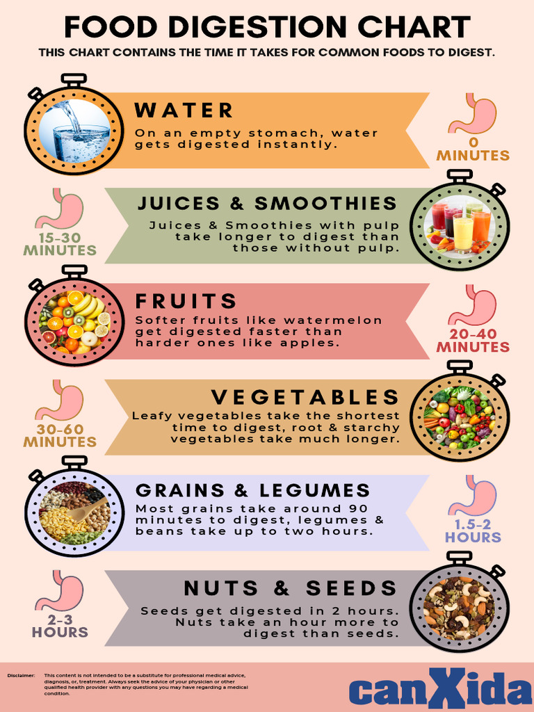 Food_Digestion_Chart | PDF | Foods | Fruit