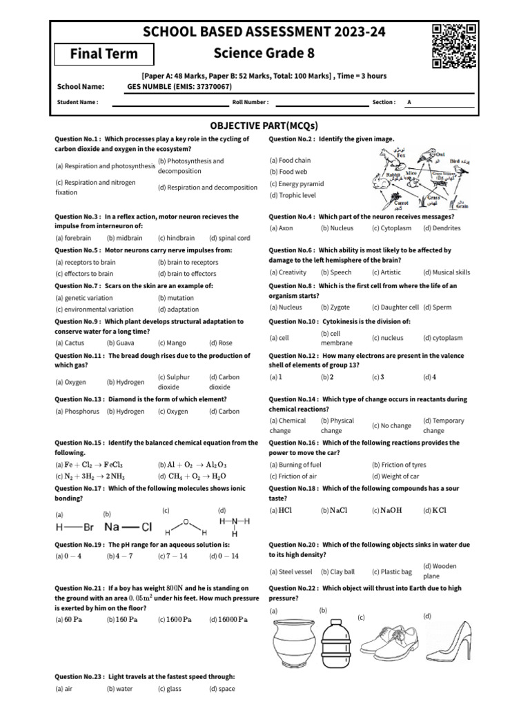 Science - 8th | PDF | Brain | Neuron
