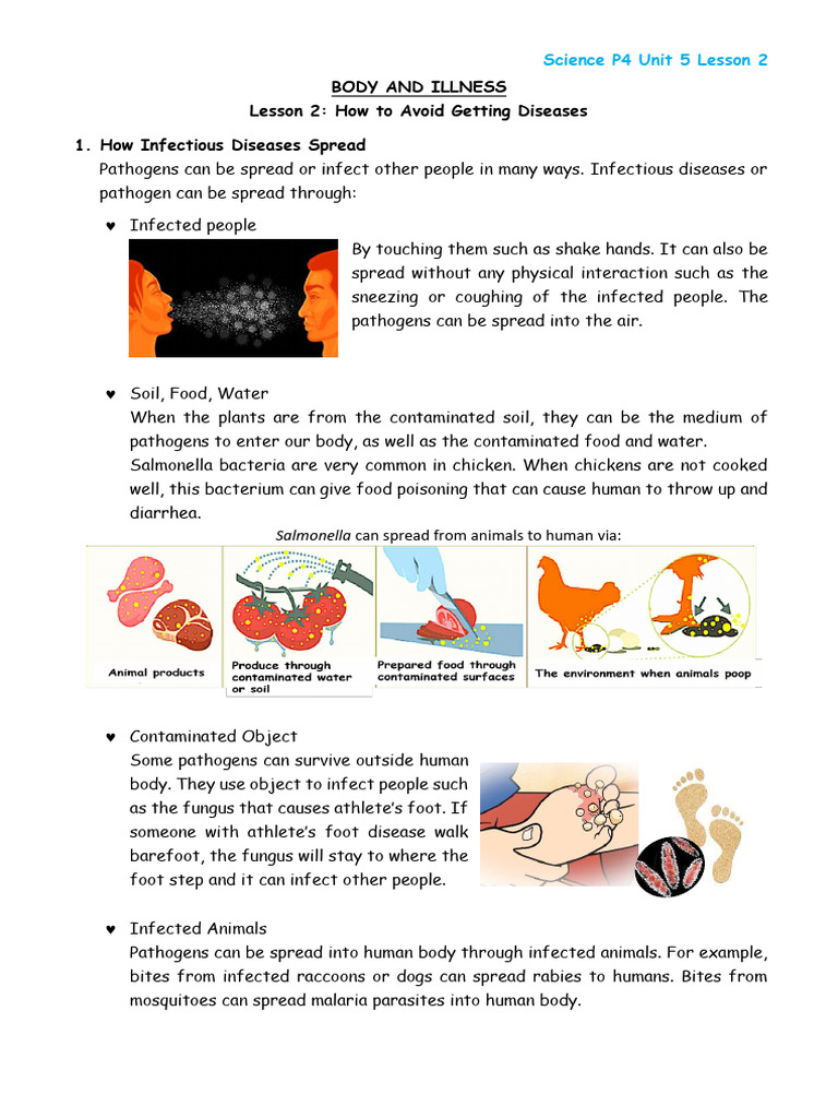 Summary Science Unit 5, Lesson 2 | PDF | Infection | Pathogen
