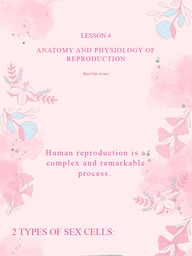 Human Reproduction Anatomy Guide | PDF | Human Body | Menstrual Cycle