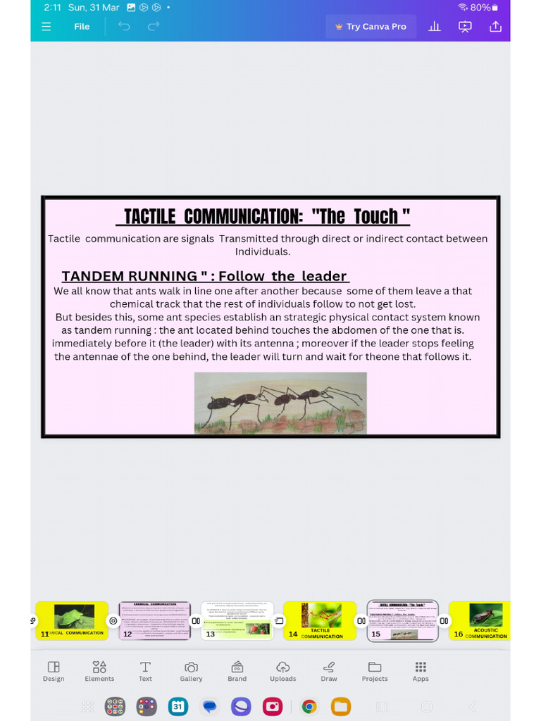 Tactile Communication | PDF
