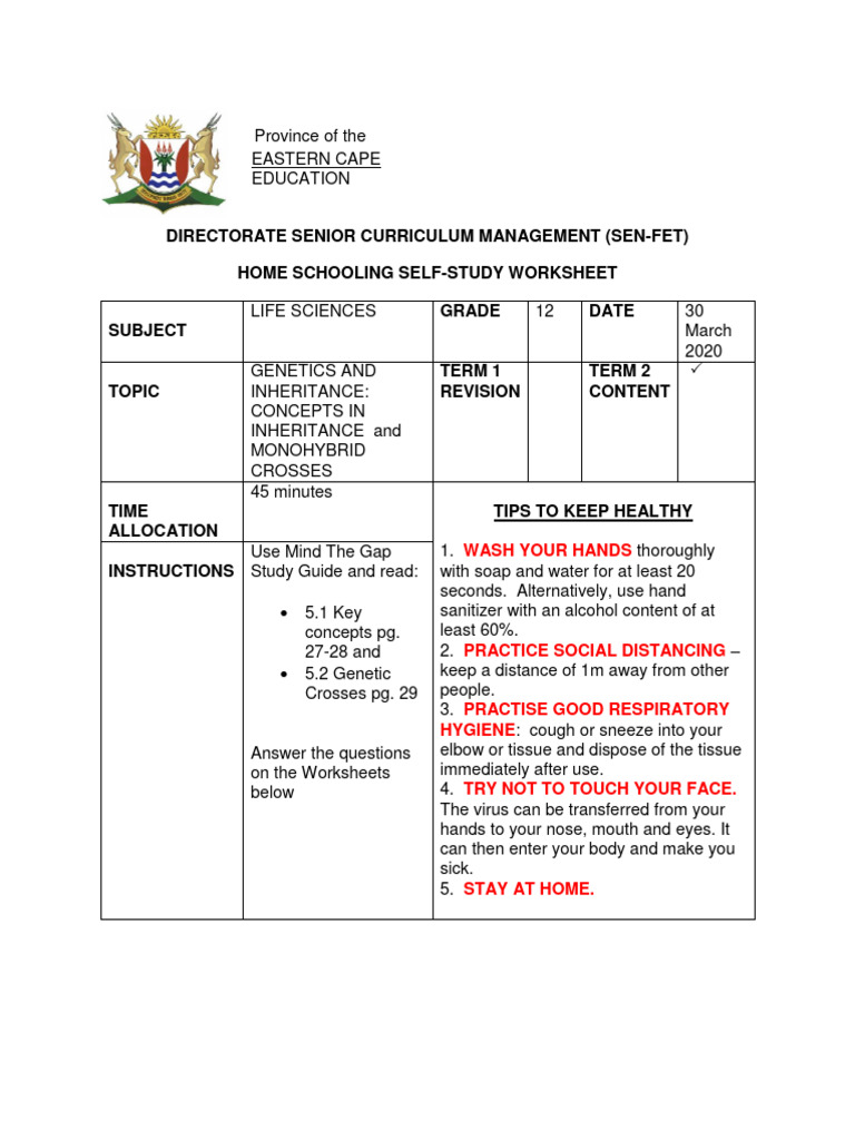 Grade 12 Life Sciences Genetics Worksheet | PDF | Genotype | Dominance ...
