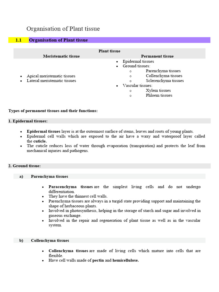 Bio Form 5 Notes | PDF | Tissue (Biology) | Leaf