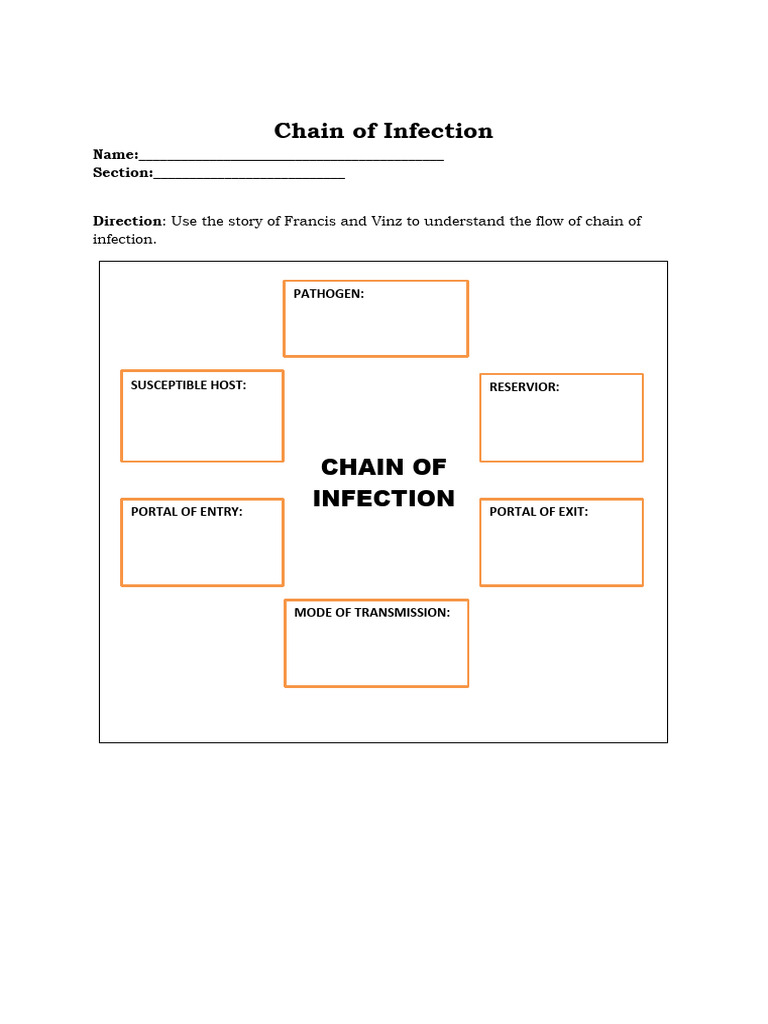 Chain of Infection-Activity Sheets | PDF