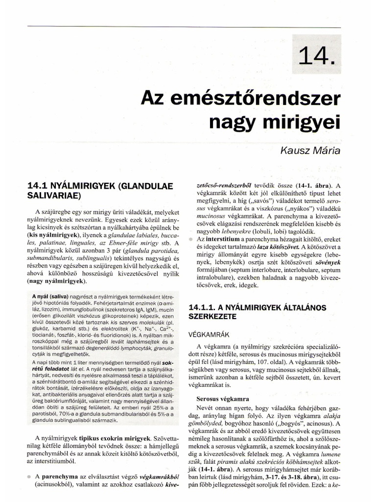 14.Az Emésztőrendszer Nagy Mirigyei | PDF
