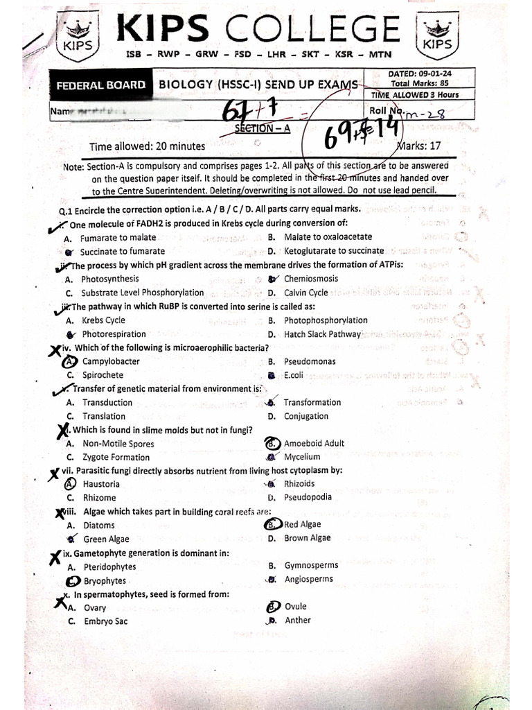 Sendups Papers 2023-2024 Session - KIPS (1st Year) | PDF