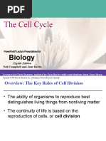 Grade 8-Cell Structure and Function - Worksheet | PDF | Cell (Biology ...