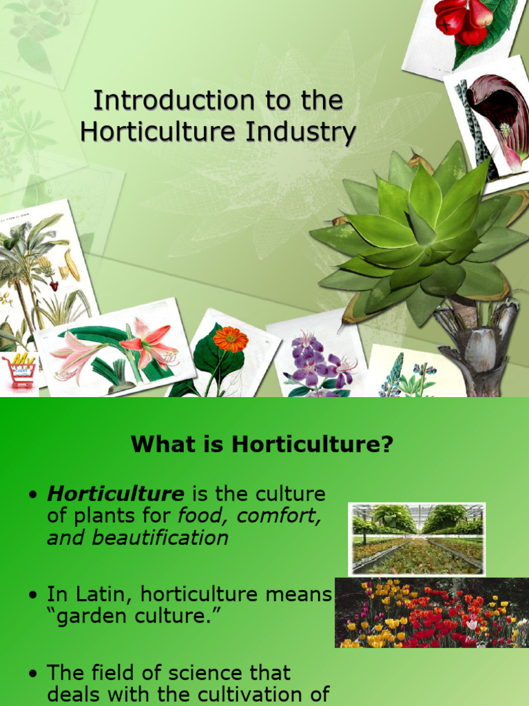 Introduction To Horticulture | PDF | Horticulture | Vegetables