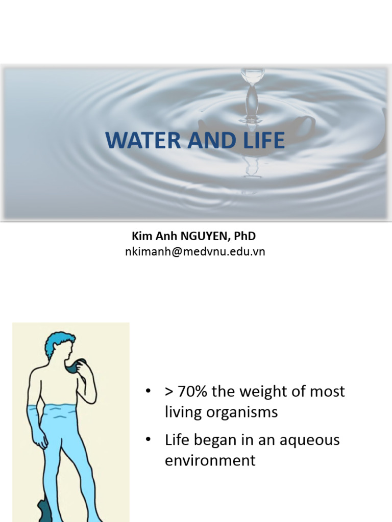 Water and life | PDF | Hydrogen Bond | Solvation