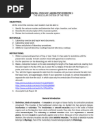 Mink Muscle Dissection Guide | PDF | Abdomen | Musculoskeletal System