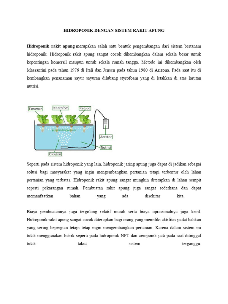 Hidroponik Dengan Sistem Rakit Apung | PDF