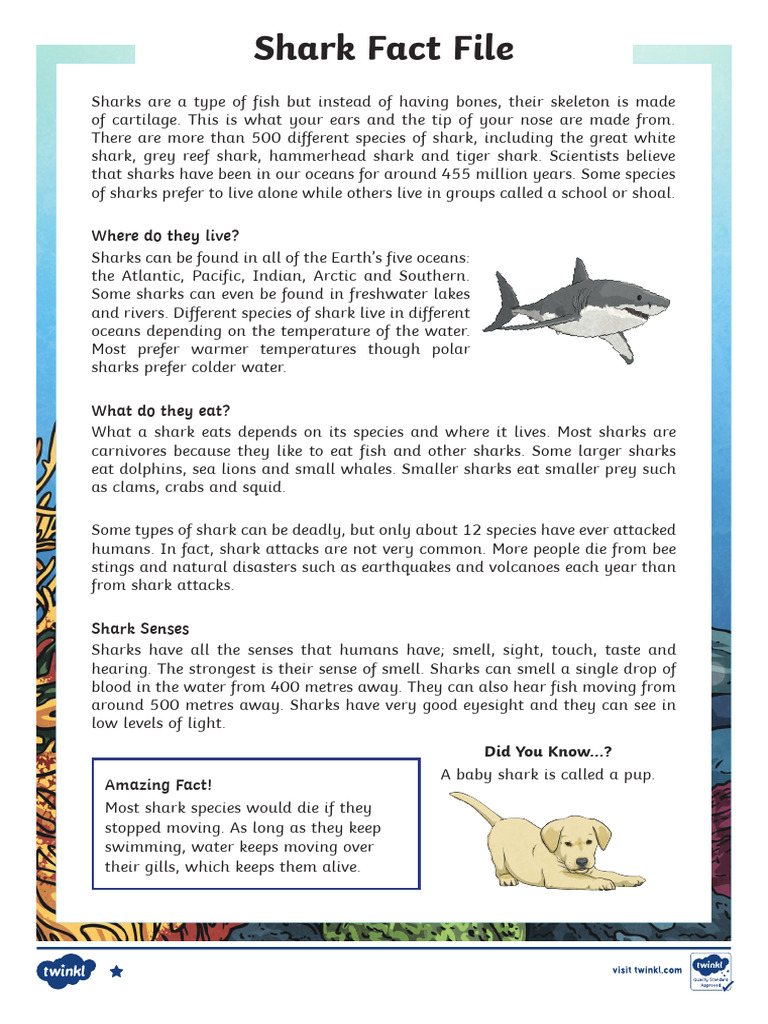 Sharks Differentiated Non-Chronological Reading Comprehension | PDF ...