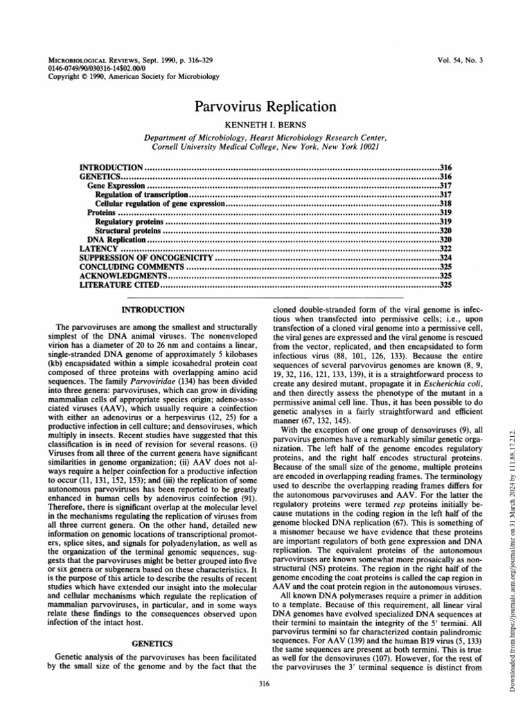 Berns 1990 Parvovirus Replication | PDF | Virus | Gene