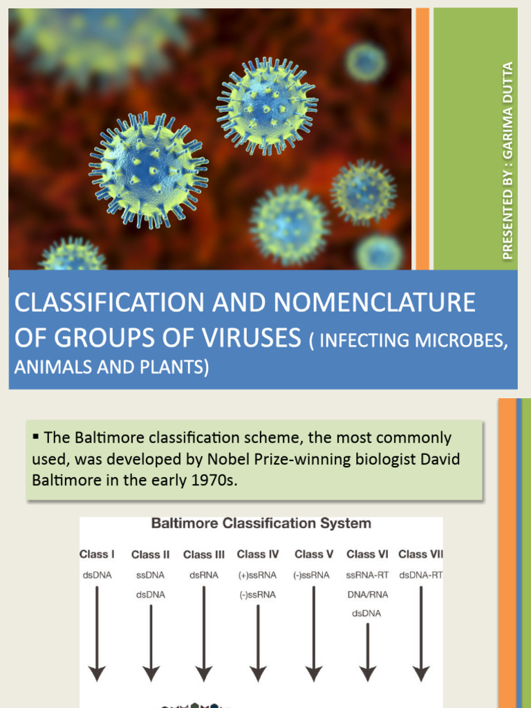 Classification & Nomenclature of Viruses | PDF | Virus | Retrovirus