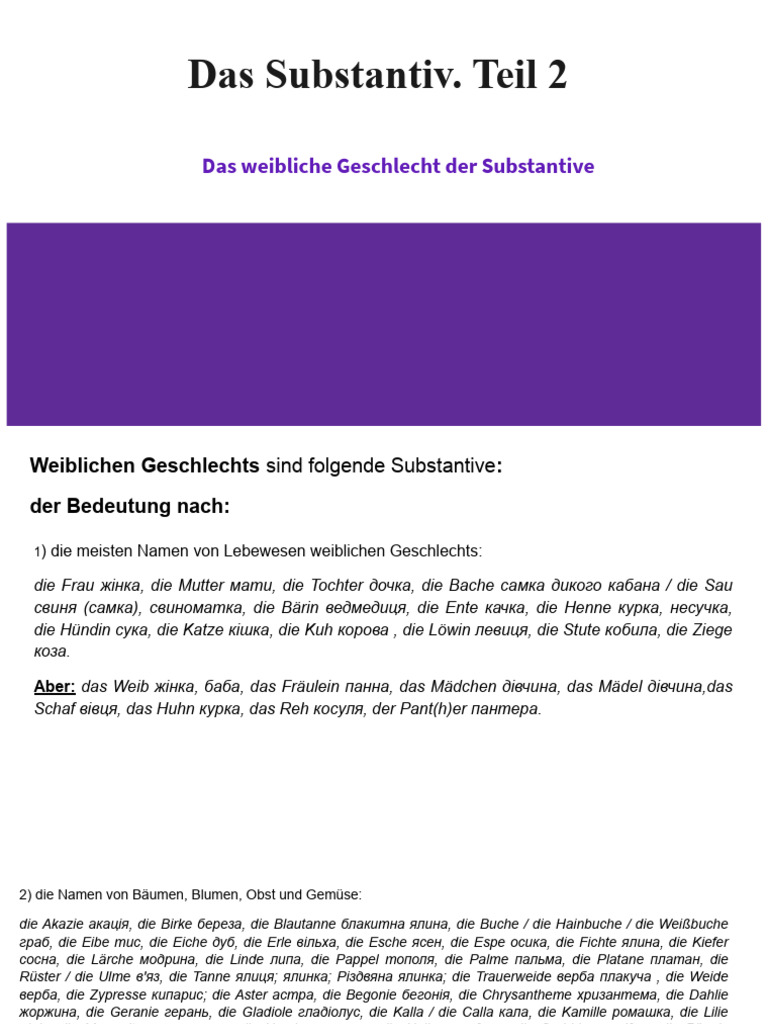 10das Substantiv. Teil 2 | PDF