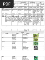 Pechay Growth and Production Guide | PDF | Sowing | Seedling