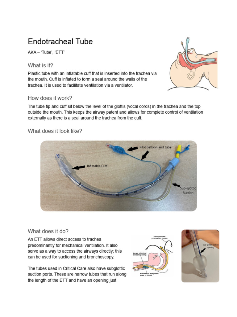 Endotracheal Tubes | PDF | Clinical Medicine | Medical Specialties