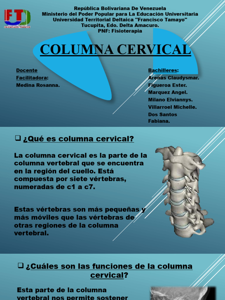 Funciones y Movimientos de la Columna Cervical | PDF | La columna ...
