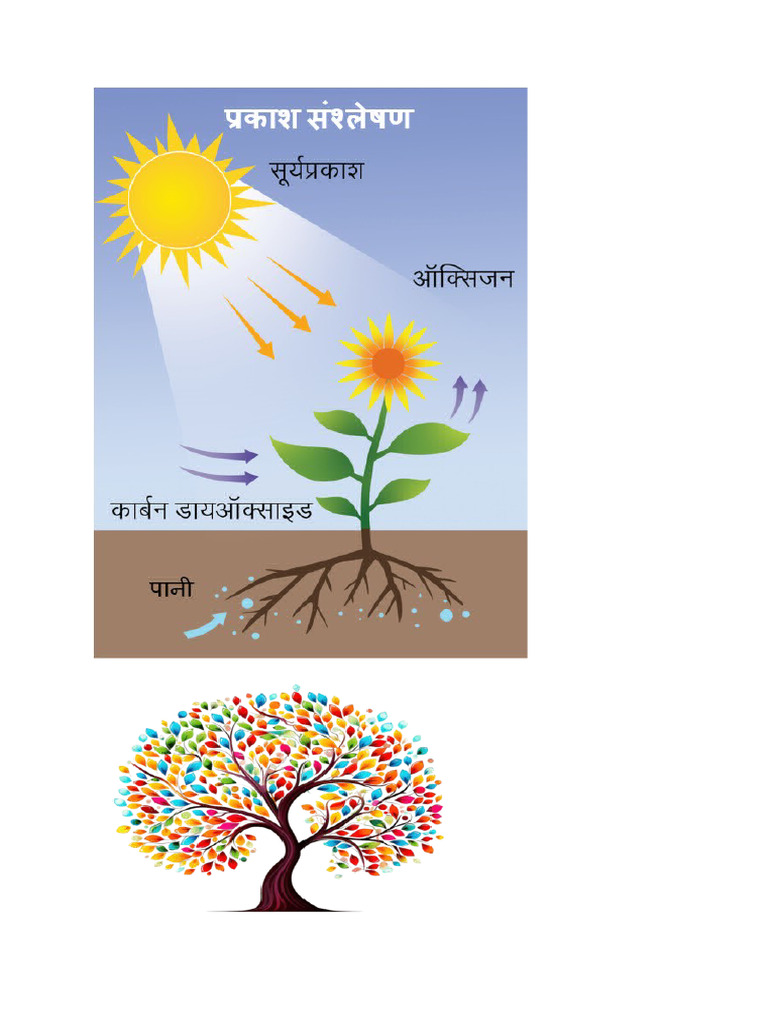 Printout Coloured | PDF