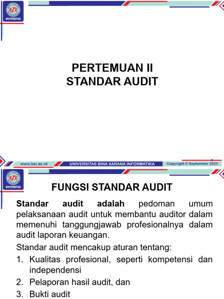 Fungsi dan Contoh Standar Audit | PDF | Bisnis | Teknologi & Rekayasa