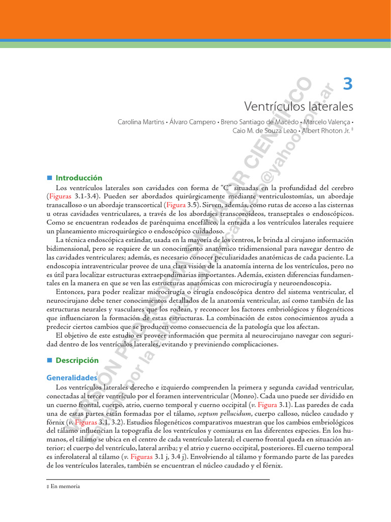 Capitulo Anatomia para As Ventriculostomias | PDF | Cerebro | Neurociencia