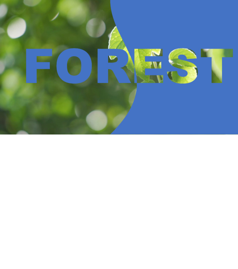 FOREST | PDF