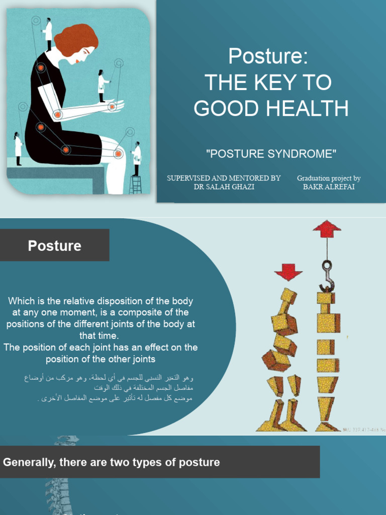 1nd Graduation Project, 1 | PDF | Vertebral Column | Anatomical Terms ...