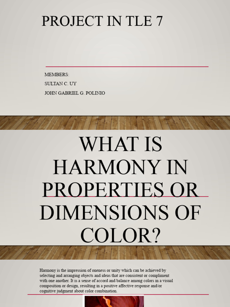 Project in Tle 7 | PDF