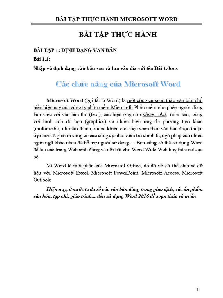 BÀI TẬP THỰC HÀNH MICROSOFT WORD NH 2022-2023 | PDF