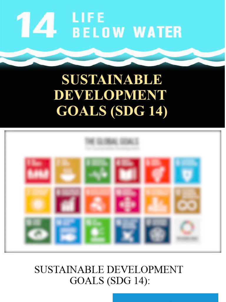 SDG 14 | PDF | Natural Environment | Environment