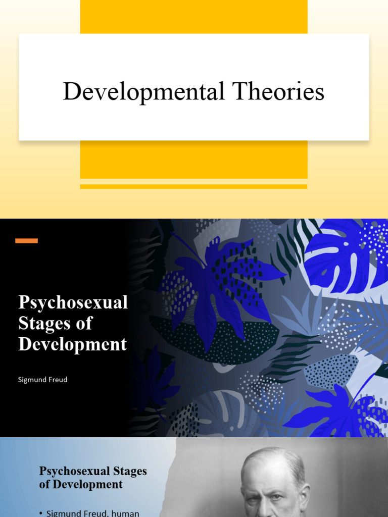 Developmental Theories | PDF | Id | Neuroscience
