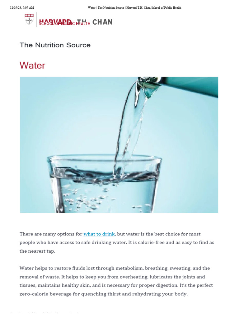 Essential Guide to Daily Water Intake | PDF | Dehydration | Soft Drink