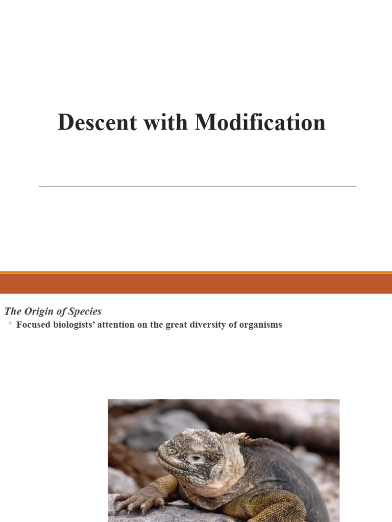 Darwin Descent With Modification | PDF | On The Origin Of Species ...