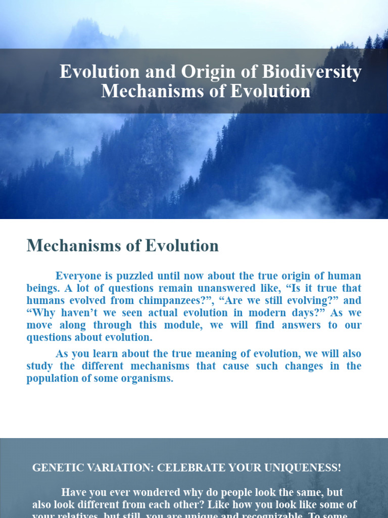 Mechanisms of Evolution | PDF | Natural Selection | Mutation