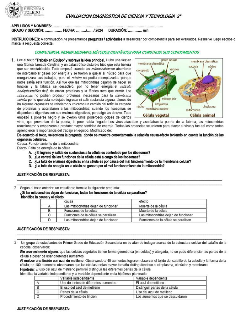 Evaluación Diagnóstica de Ciencia 2° Secundaria | PDF | Plantas ...